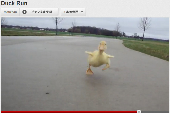 Duck Run | Pouch[ポーチ]