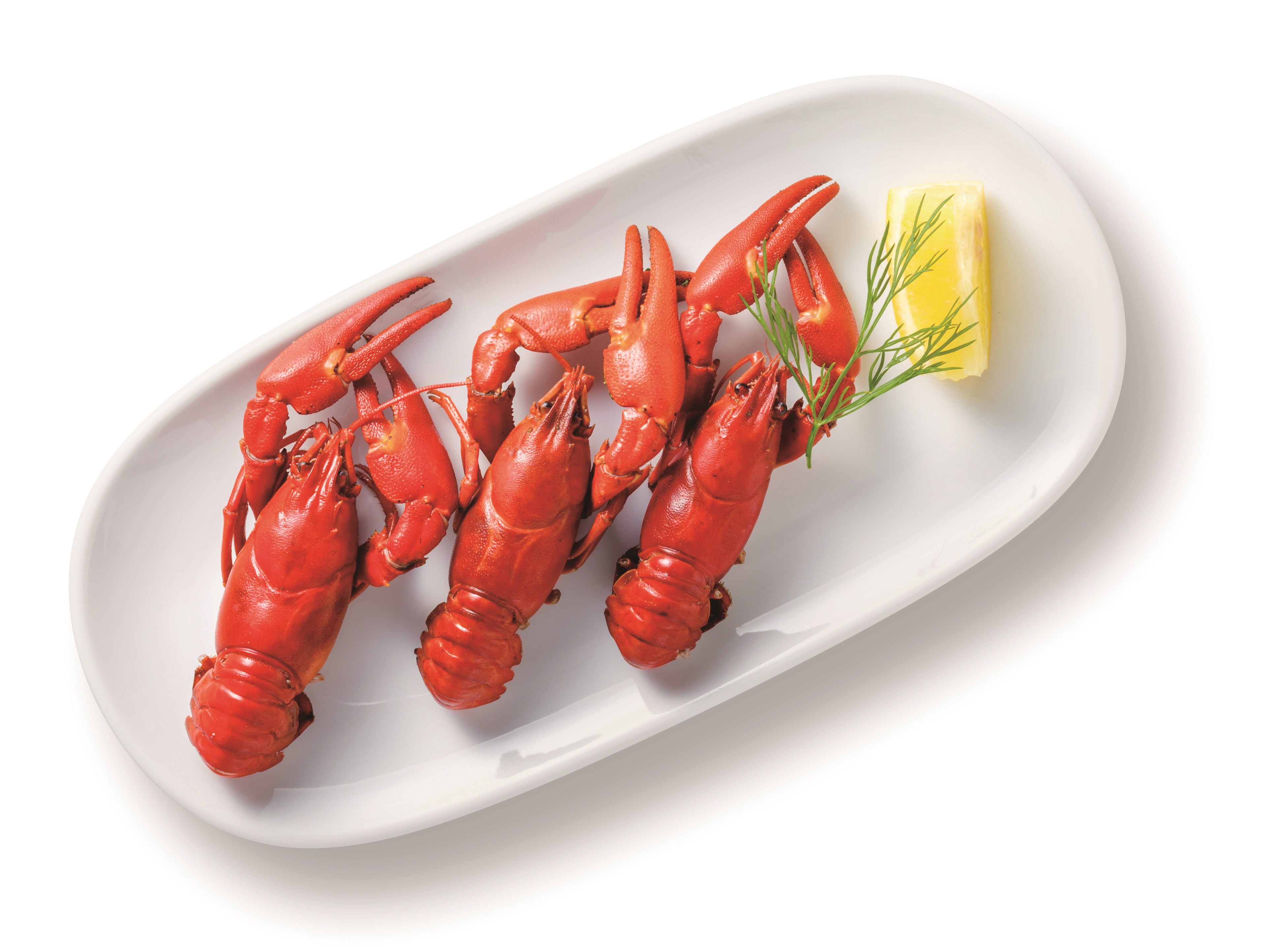 イケアでザリガニを食べられるよ / スウェーデンの夏の風物詩らしいです | Pouch[ポーチ]