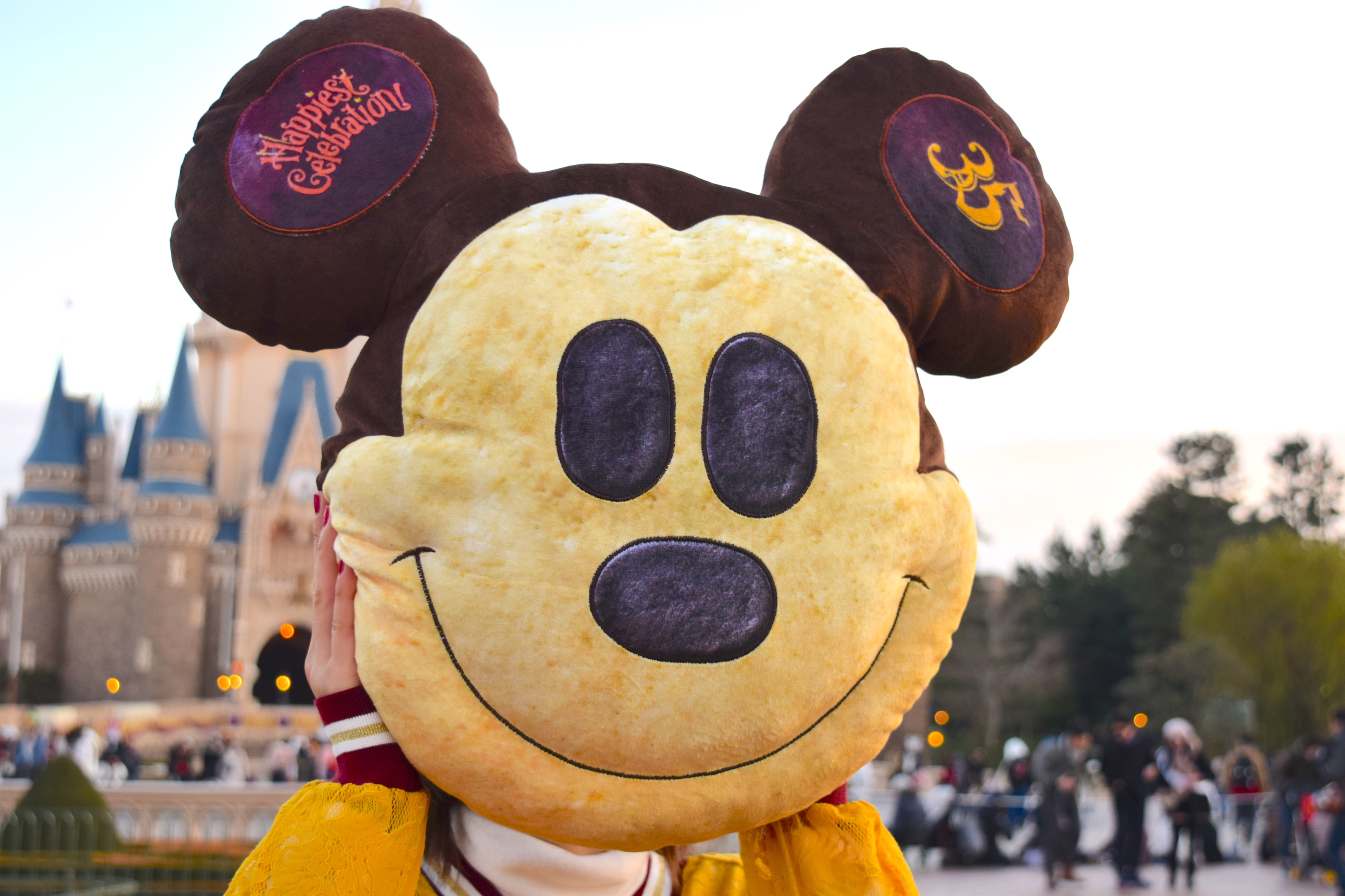 dsc_0706 | Pouch[ポーチ]