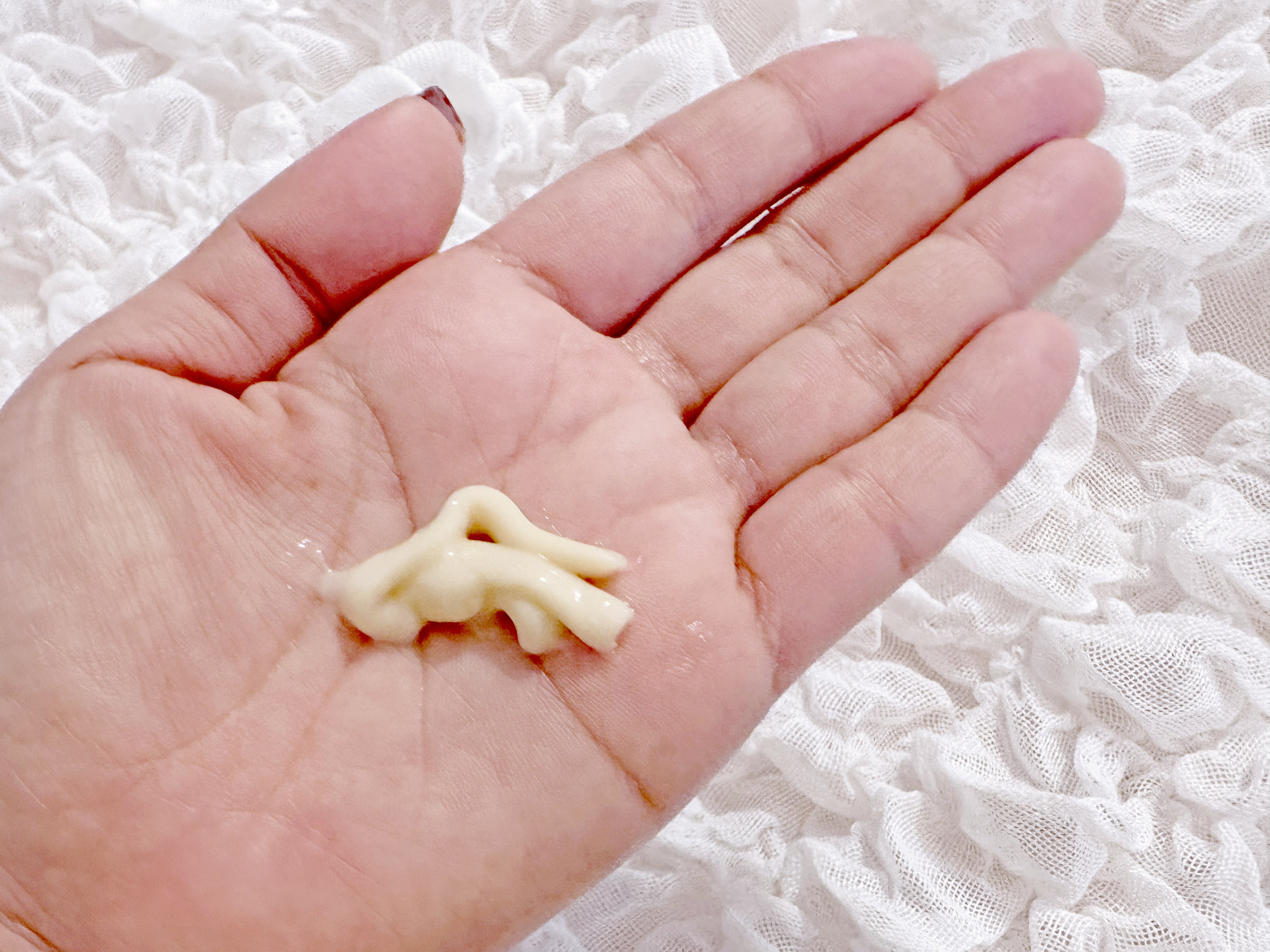 ロート製薬の本気ヘアケアライン「PRORY（プロリー）」を2週間使ってみた！→大人の髪悩みにドンピシャかもよ | Pouch[ポーチ]