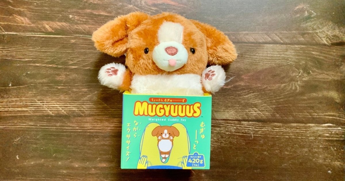 ぬいぐるみとエクササイズできる「むぎゅーず」と地味トレ🐶足を組む癖やデスクワークにストレスを感じている人にもおすすめです | Pouch[ポーチ]